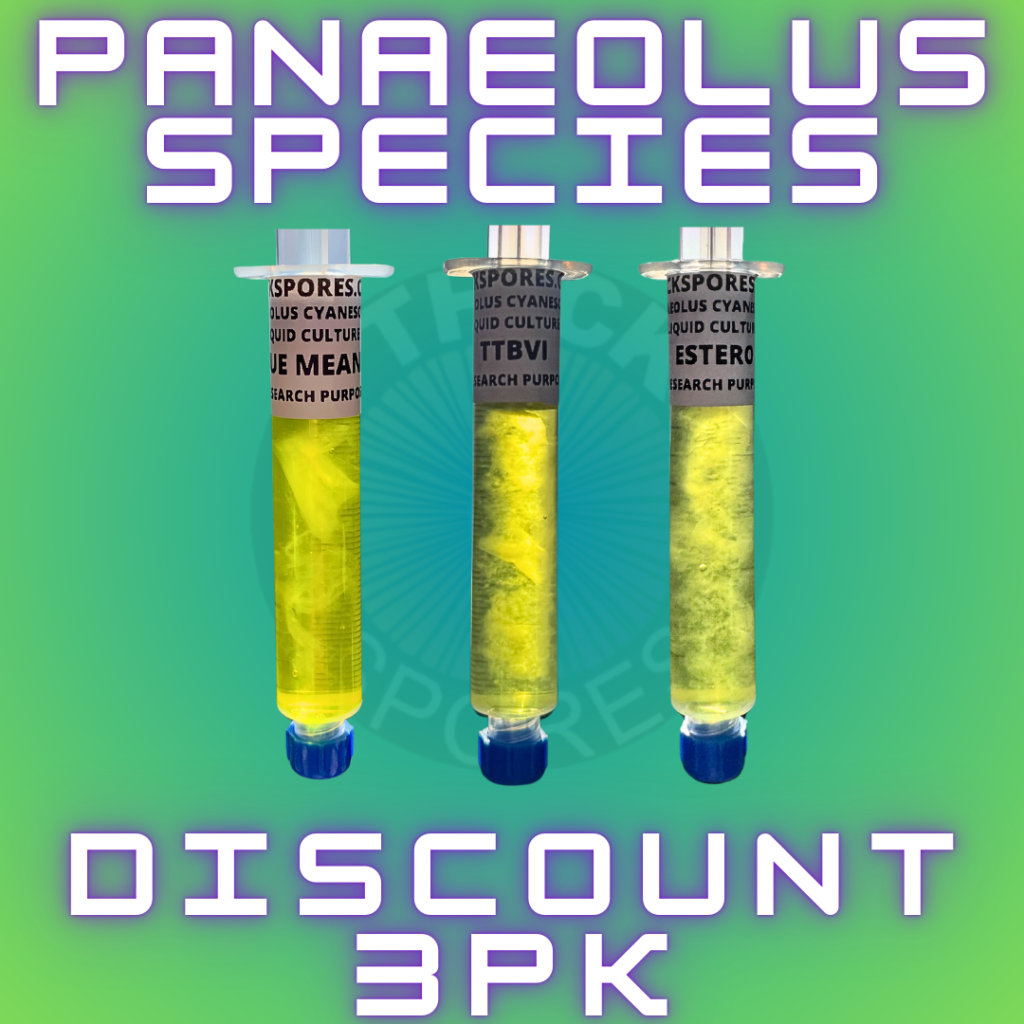 Thick Spores - Mushroom Spores & Liquid Cultures