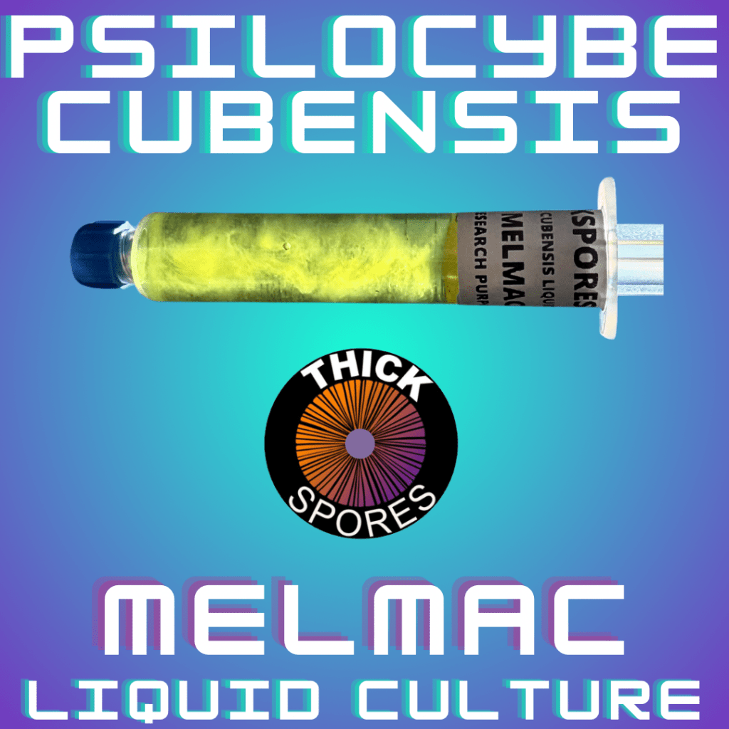 Melmac Liquid Culture 10cc